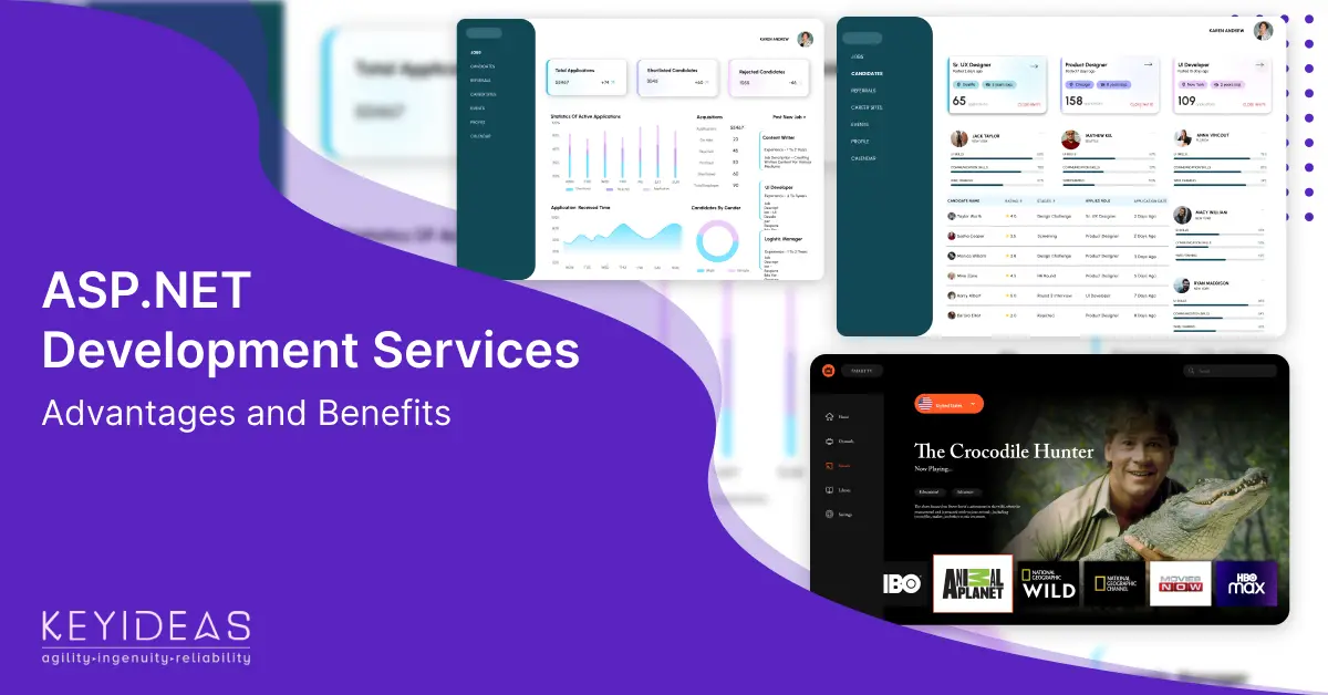 Maximize Your Success with Top ASP.NET Development Services
