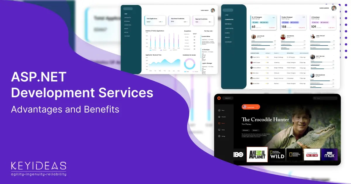 Web Application Development Standards & Structures